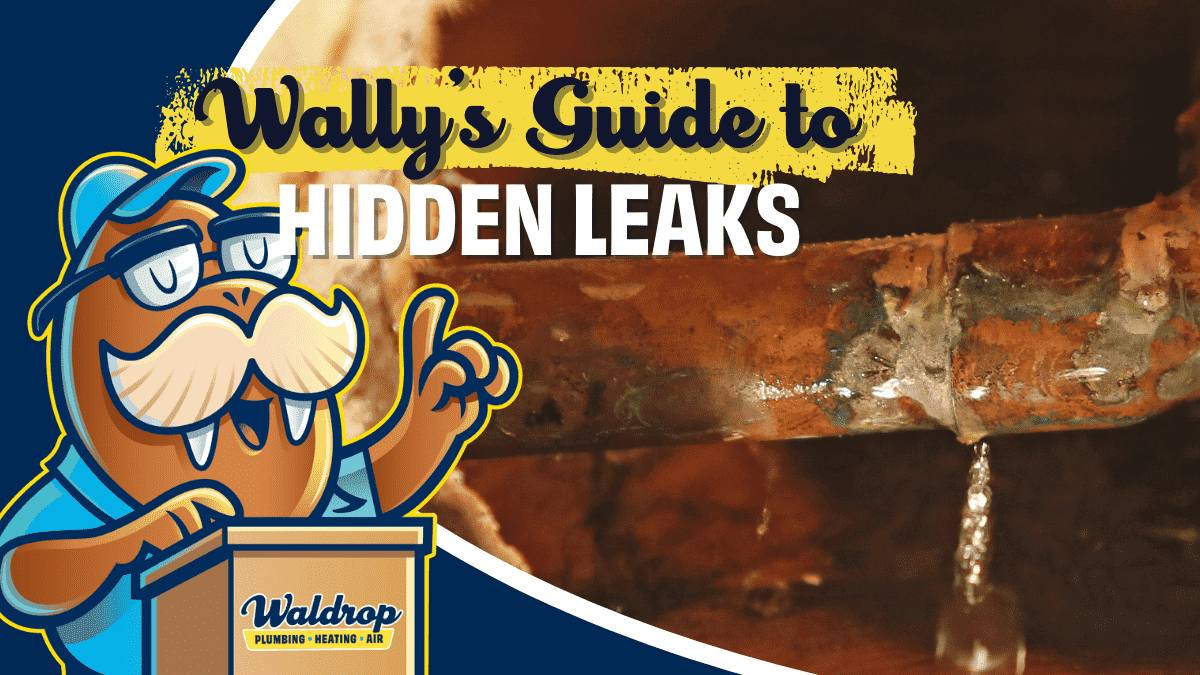 Wally's Guide to Hidden Leaks: Drip to Disaster | Waldrop Plumbing ...